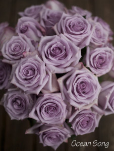 The Lavender & Purple Rose Study – Flirty Fleurs The Florist Blog ...