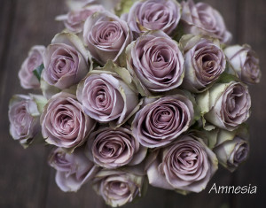 The Lavender & Purple Rose Study – Flirty Fleurs The Florist Blog ...