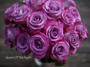 The Lavender & Purple Rose Study – Flirty Fleurs The Florist Blog ...