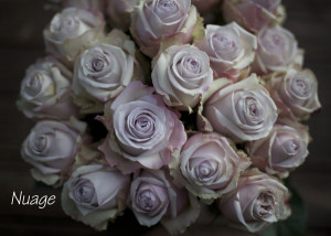The Lavender & Purple Rose Study – Flirty Fleurs The Florist Blog ...