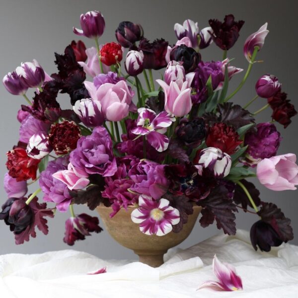 New Tulip Collections with Longfield Gardens – Flirty Fleurs The ...
