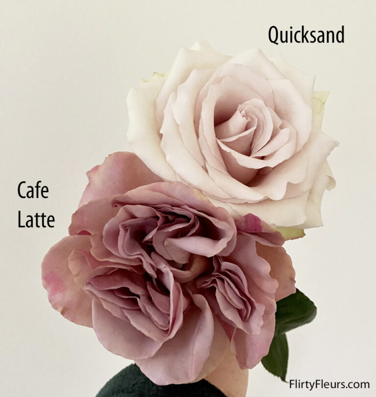Rose Color Study – Dusty Mauve Roses – Flirty Fleurs The Florist Blog ...