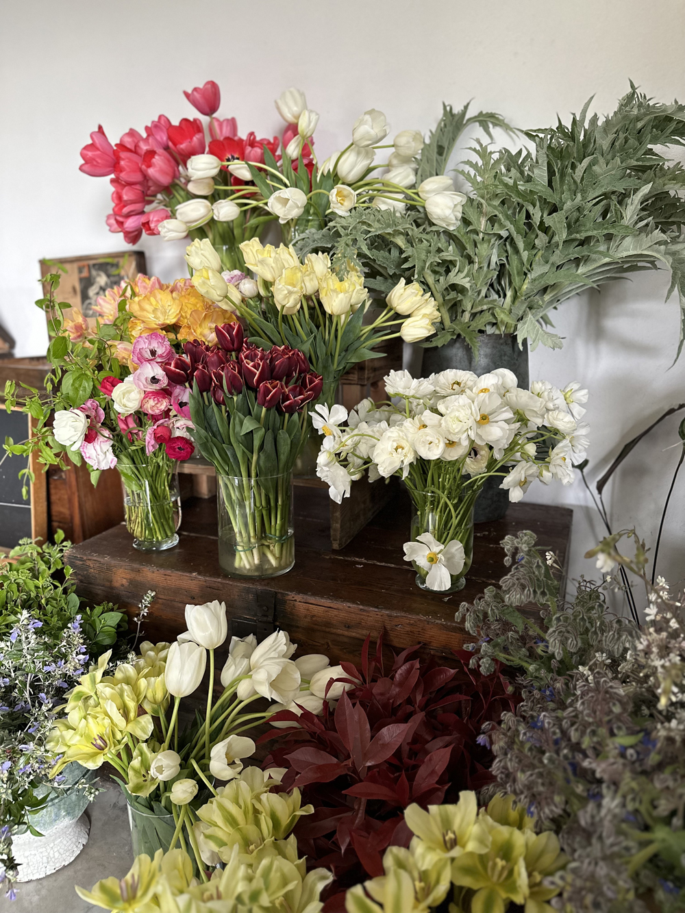 Visiting Puscina Flowers Farm in Tuscany, Italy – Flirty Fleurs The ...